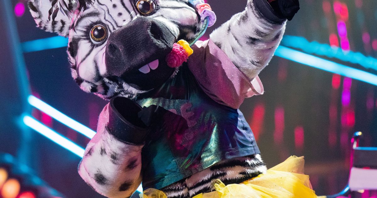 The Masked Singer: Fans und Jury einig – Zebra in Folge 2 enttarnt ...
