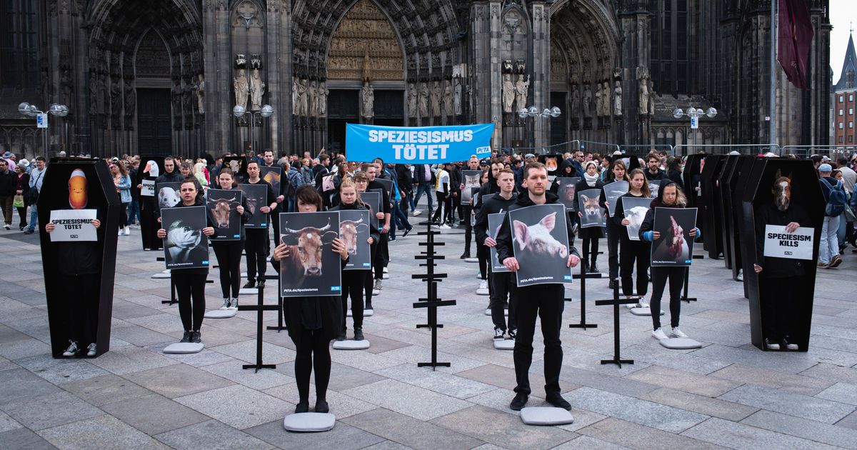 Köln: Demo mit Särgen und Kreuzen am Dom sorgt für Aufsehen | Express