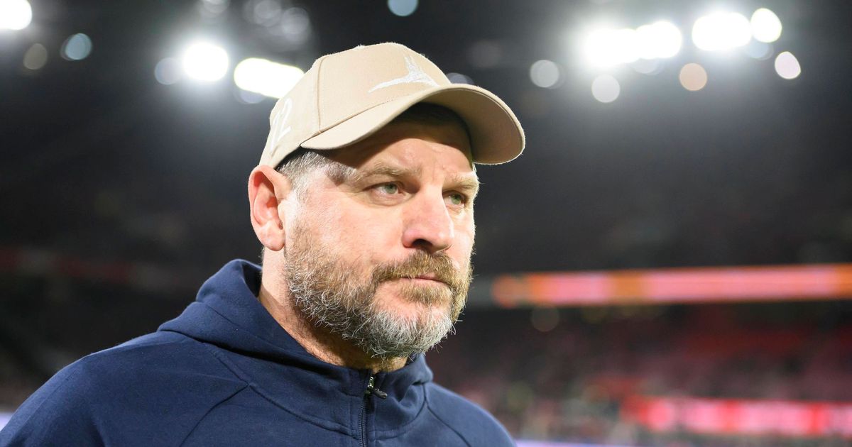 Steffen Baumgart zum HSV? Experte lobt und äußert fiese These | Express