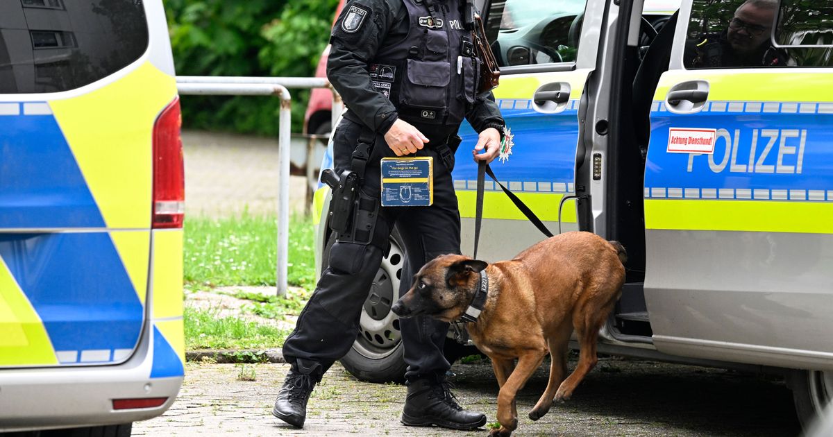 Köln: Polizeihunde und Hubschrauber im Einsatz | Express