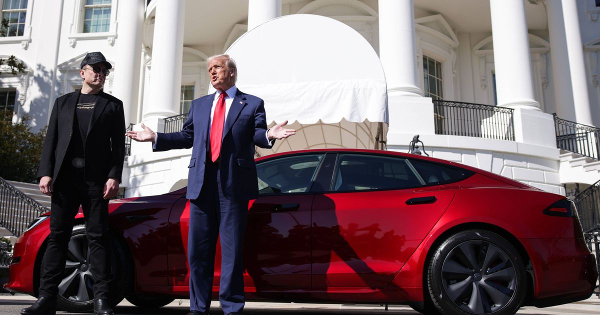 Trump und Musk: Skurrile Tesla-Kauf-Show nach Kurssturz | Express