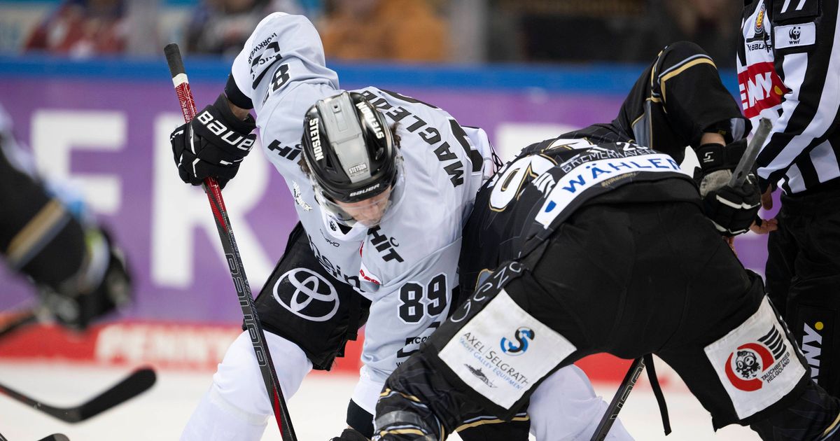 Im Video DEL-Playoffs: Zitterpartie für Kölner Haie in Bremerhaven ...