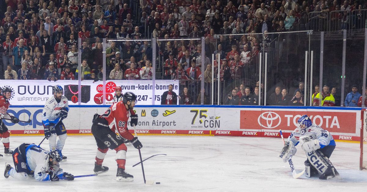 Kolner Haie Spiel Heute Ergebnis