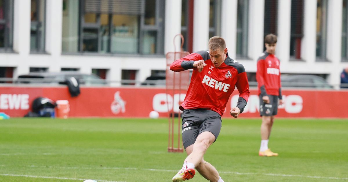 1. FC Köln will Steffen Tigges keine Steine in den Weg legen | Express