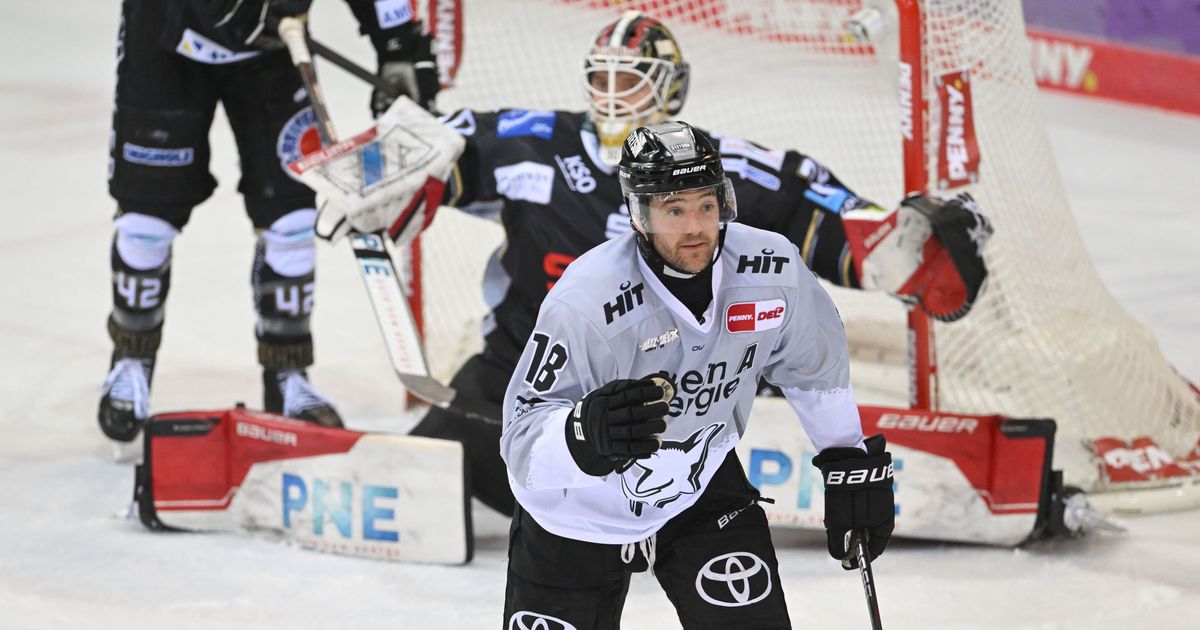 Kölner Haie: Josh Currie ist Abgang Nummer elf, Nachfolger schon da ...