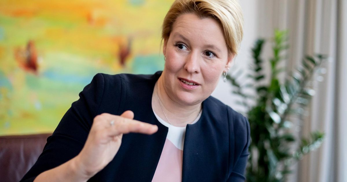 Karsten Giffey: Ehemann von Franziska Giffey als Tierarzt entlassen ...